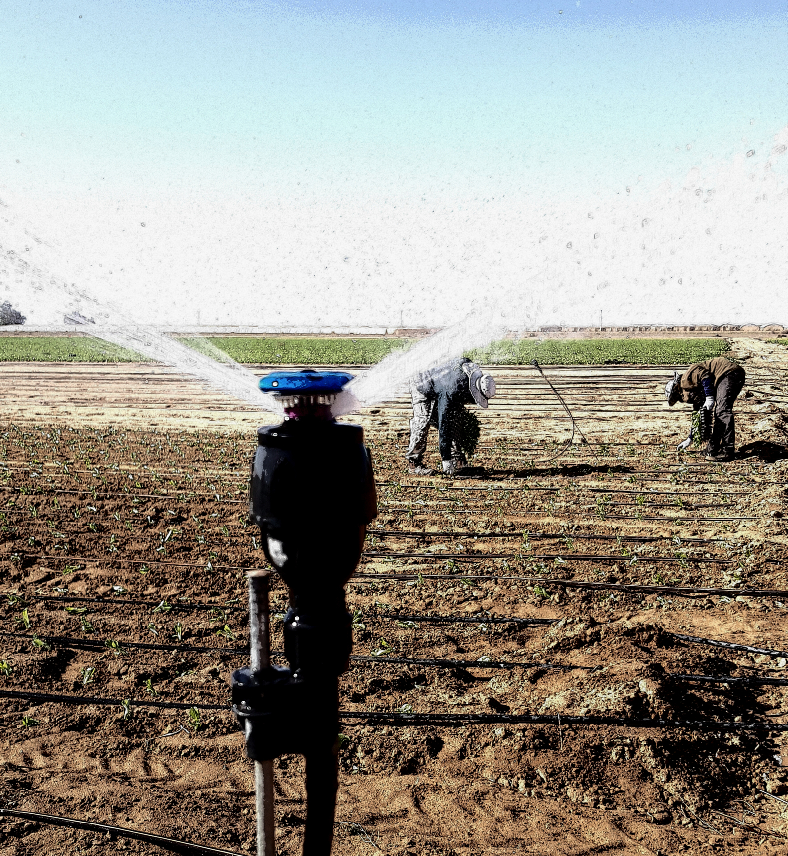 MegaNet™ 15D & 24D