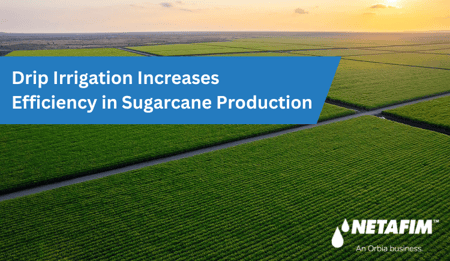 Knowledge Hub | Netafim