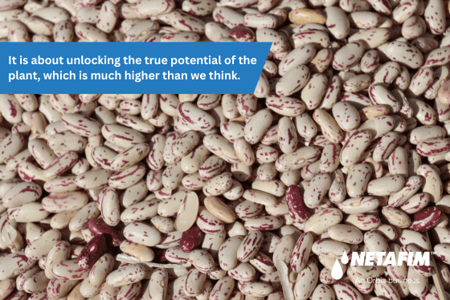 Knowledge Hub | Netafim