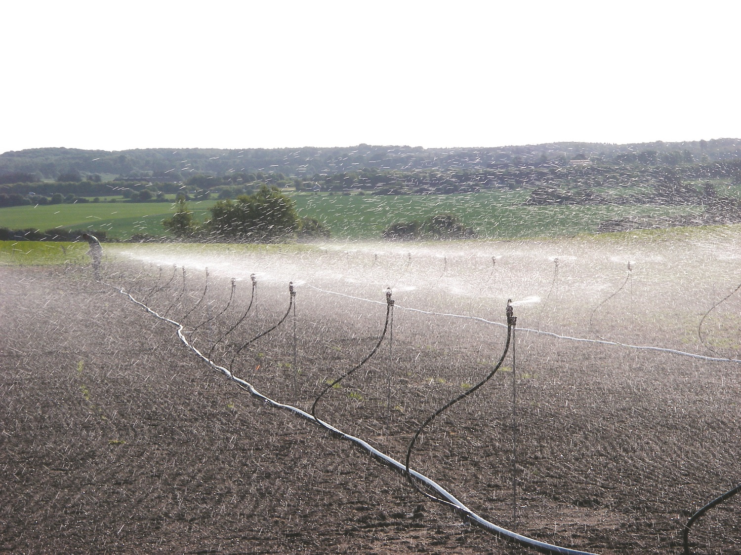 Open-field sprinkler irrigation maintenance: What you need to know