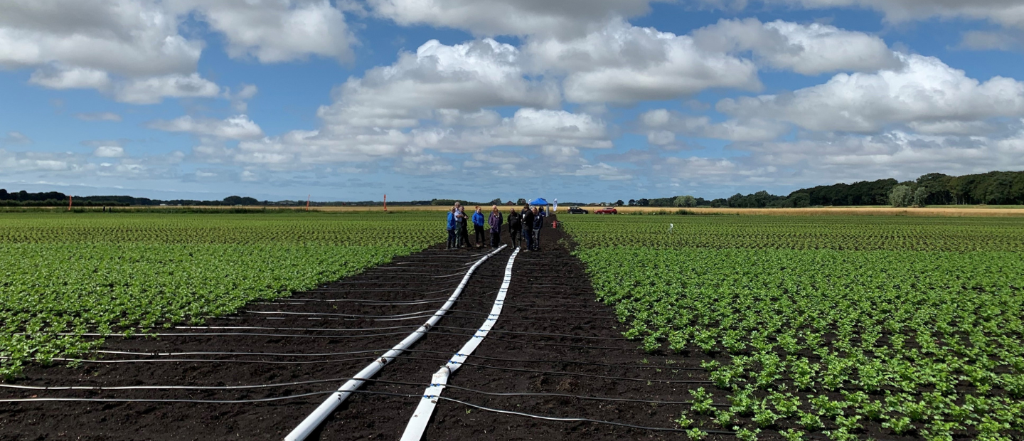 FlexNet™ Flexible Pipes