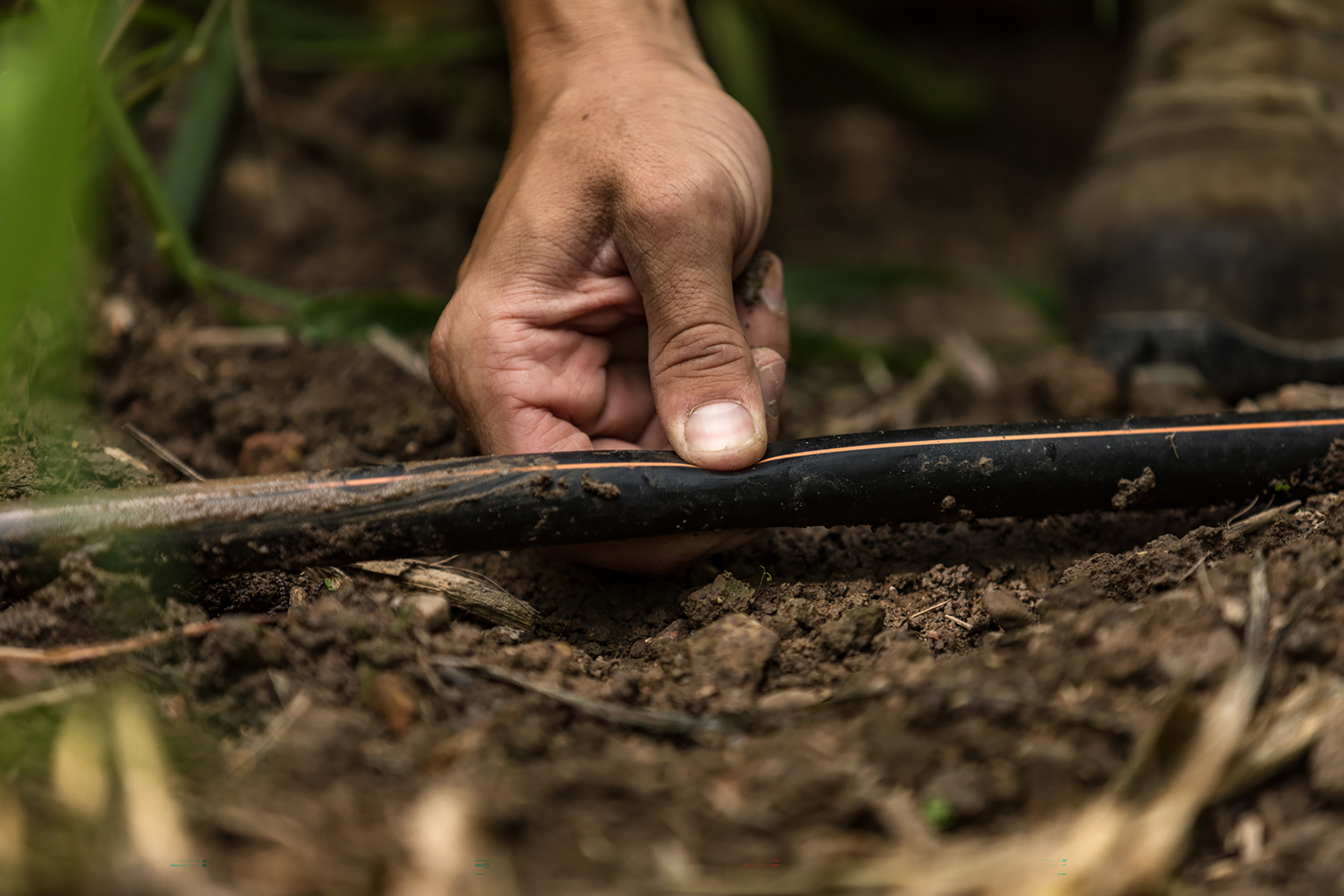 Drip irrigation: What you need to know