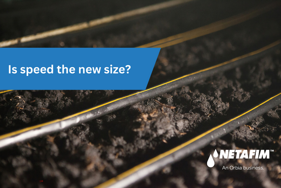 Knowledge Hub | Netafim