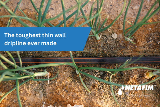 Streamline™ X struts its stuff in Southern Africa